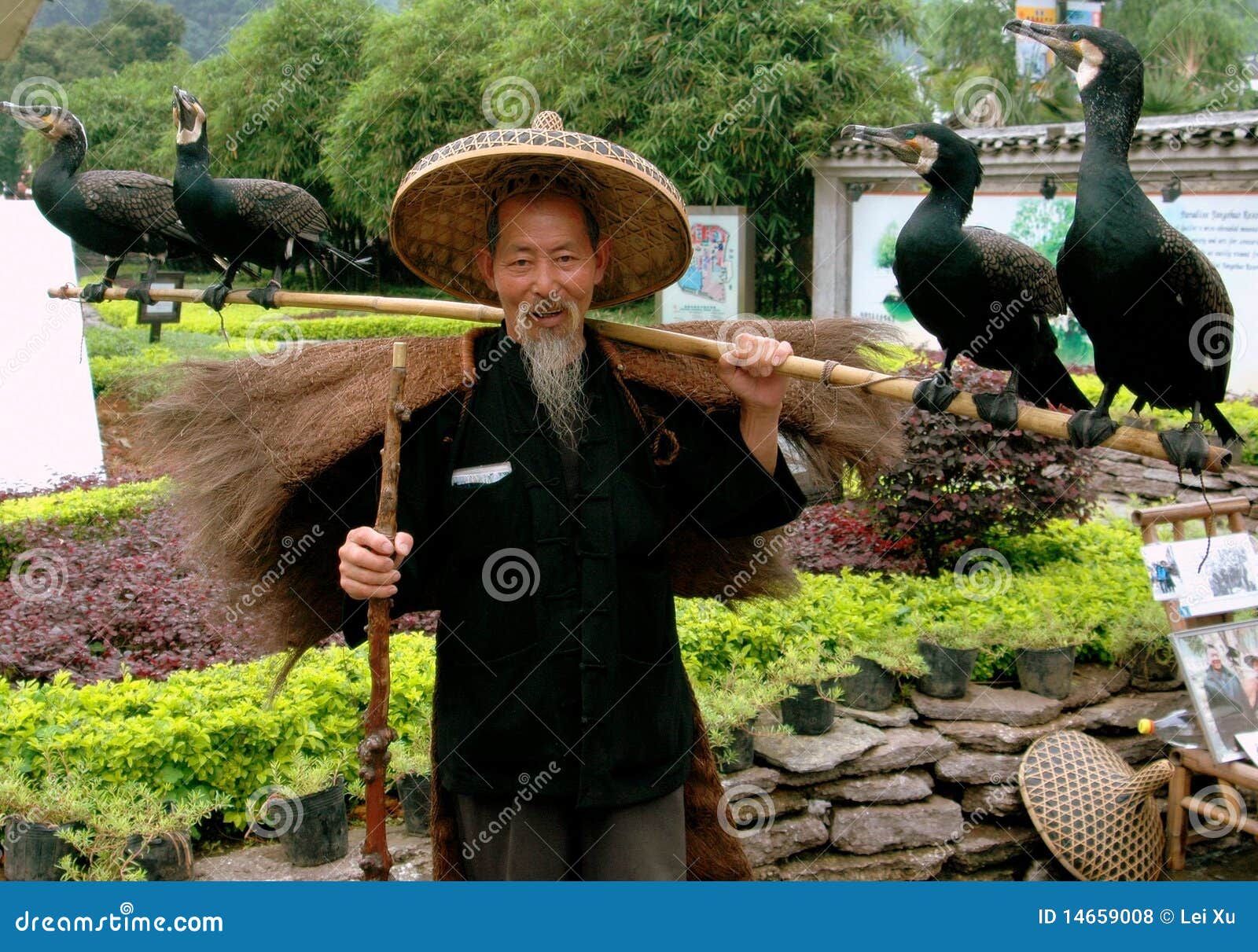 Yangshuo, China: Man with Commorants Editorial Stock Photo - Image of ...