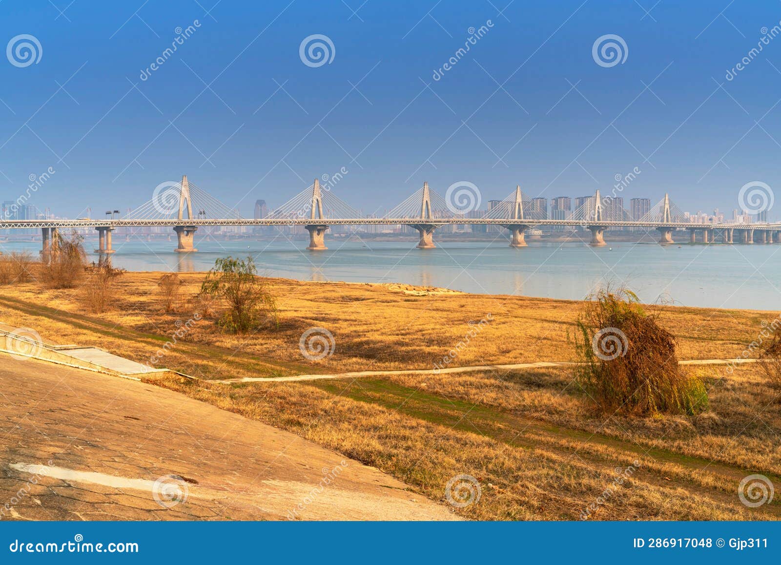 River cable stayed bridge stock photo. Image of tourism - 286917048