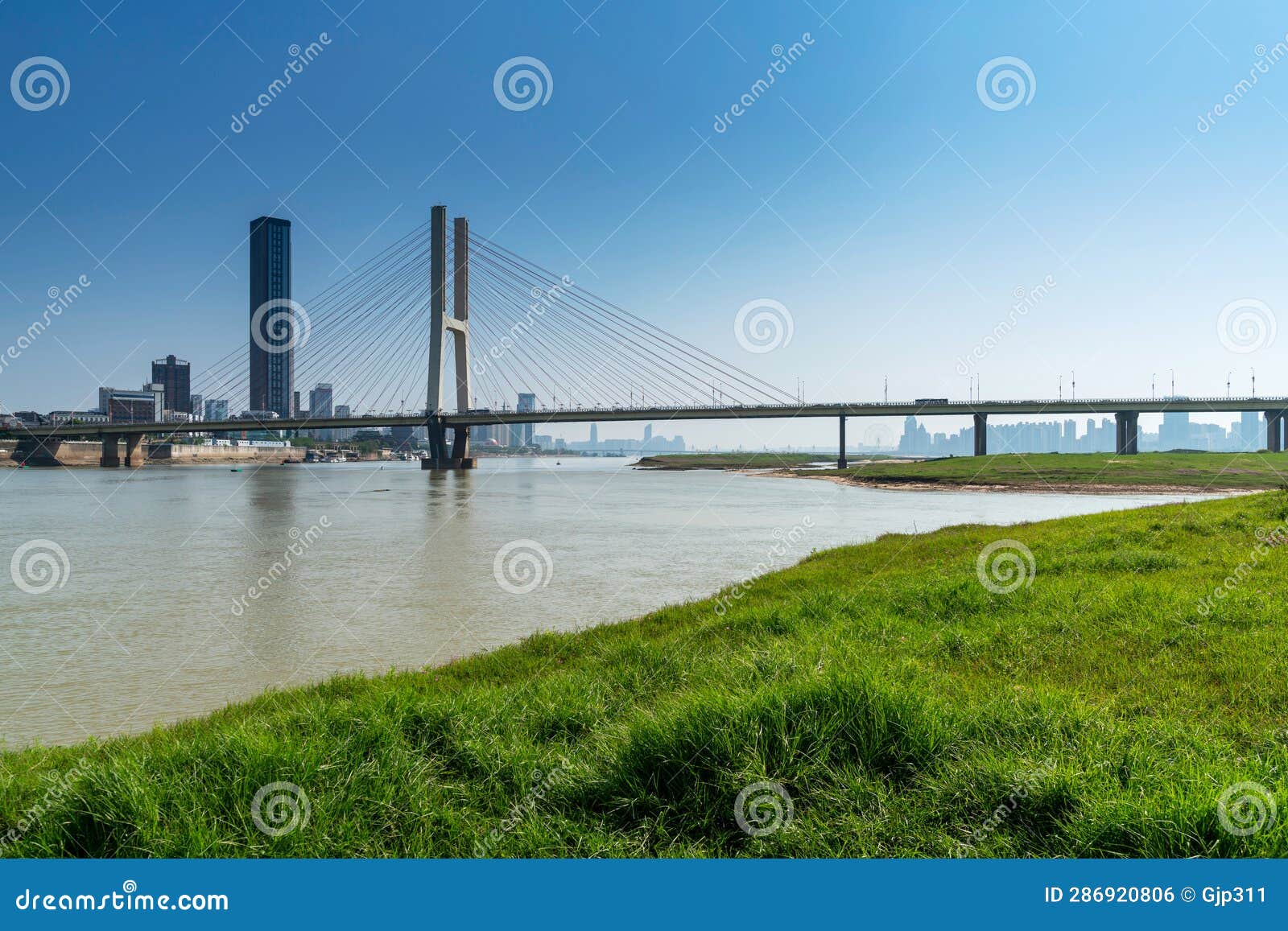 Yangtze River Cable Stayed Bridge Stock Photo - Image of district ...