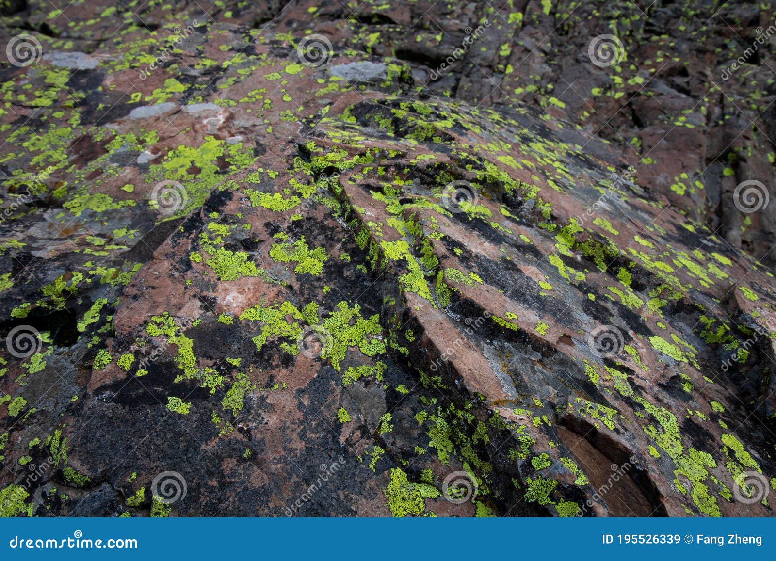 Yankee Boy Basin stock image. Image of ouray, explore - 195526339