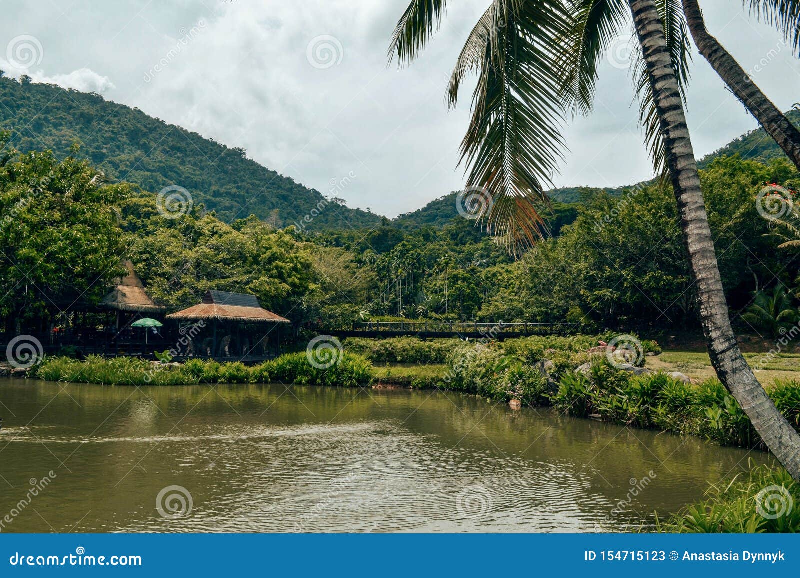 Yanoda Rain Forest Sanya China. Jungle and Stone Structures. Stock ...