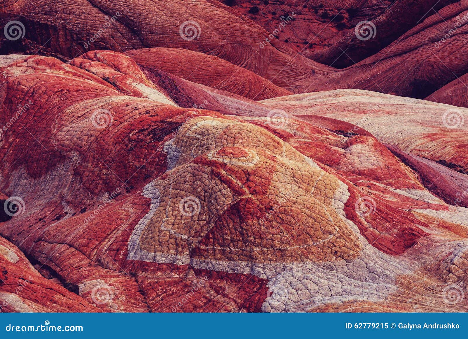 Yant flat stock image. Image of outdoors, nature, flat - 62779215