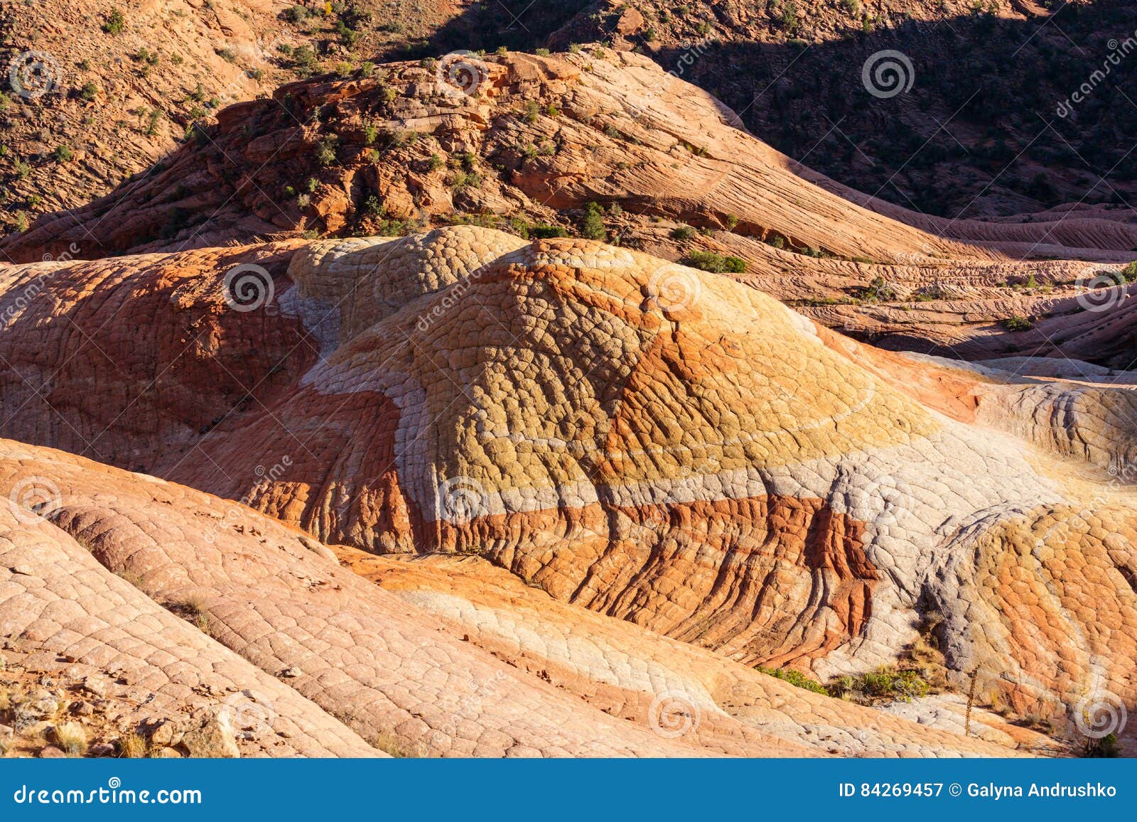 Yant flat stock image. Image of nature, adventure, brown - 84269457