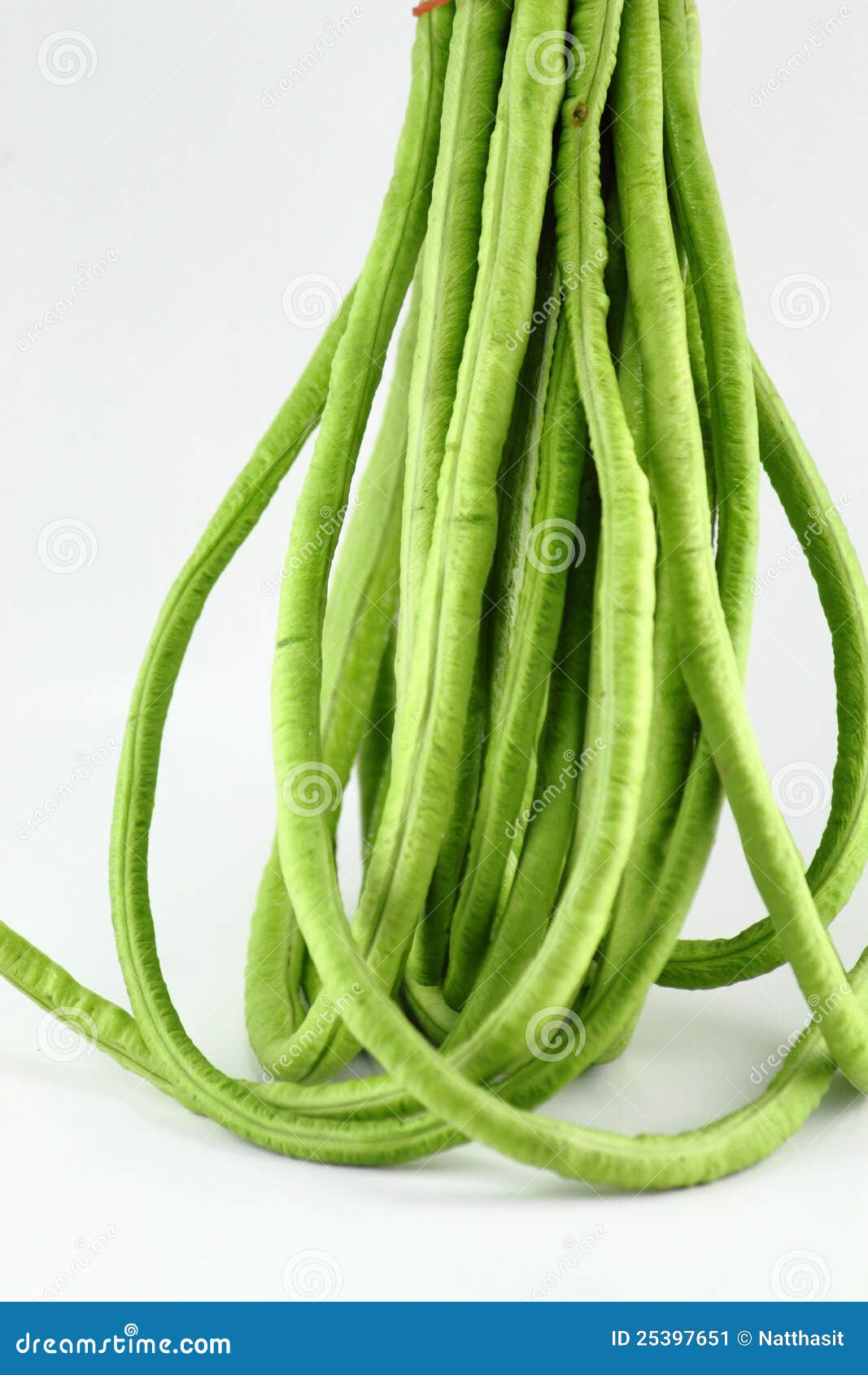 Yard Long Bean stock image. Image of tropical, vine, vitamins - 25397651