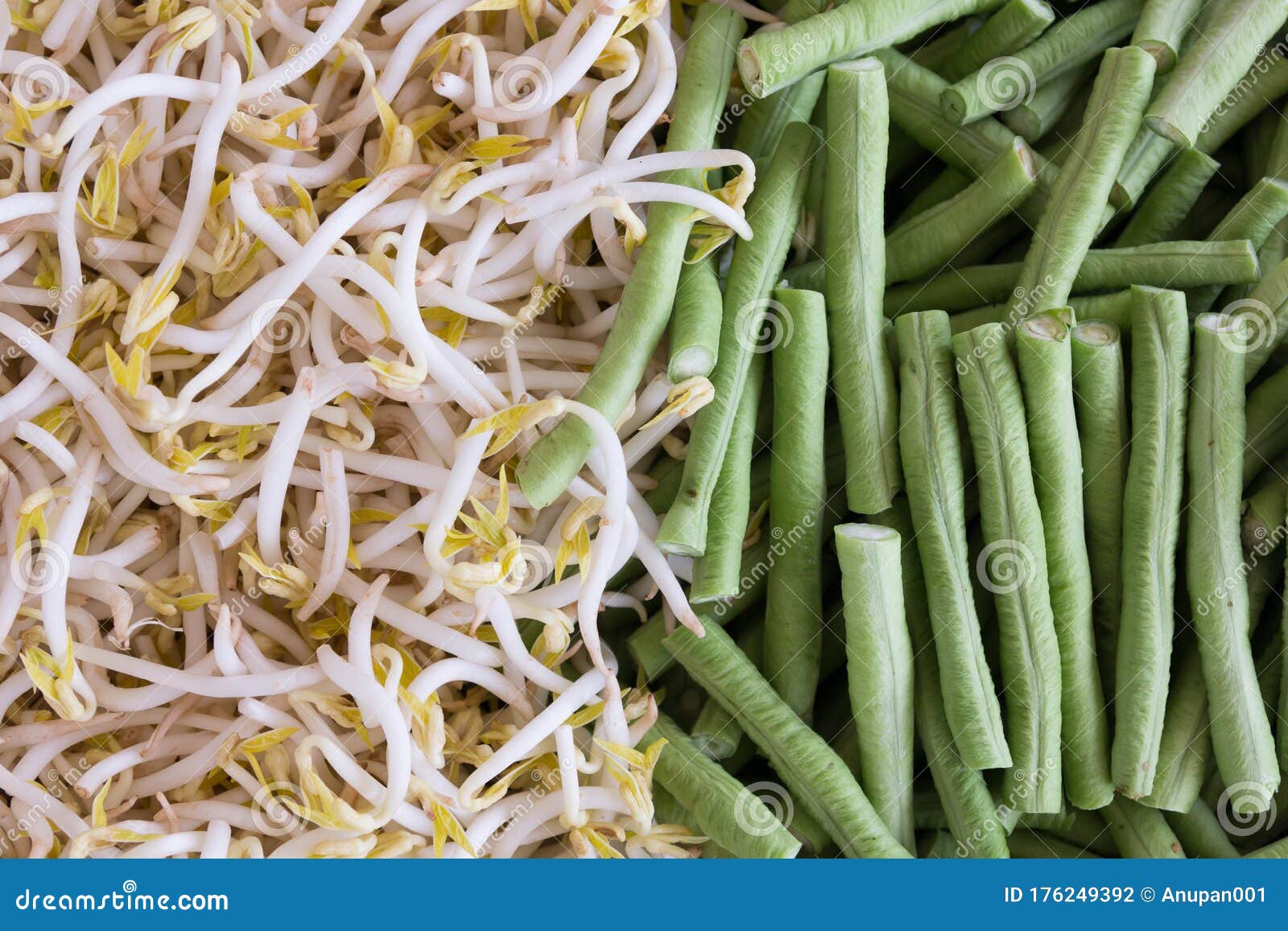 Yard Long Bean and Bean Sprout Stock Photo - Image of produce, plant ...
