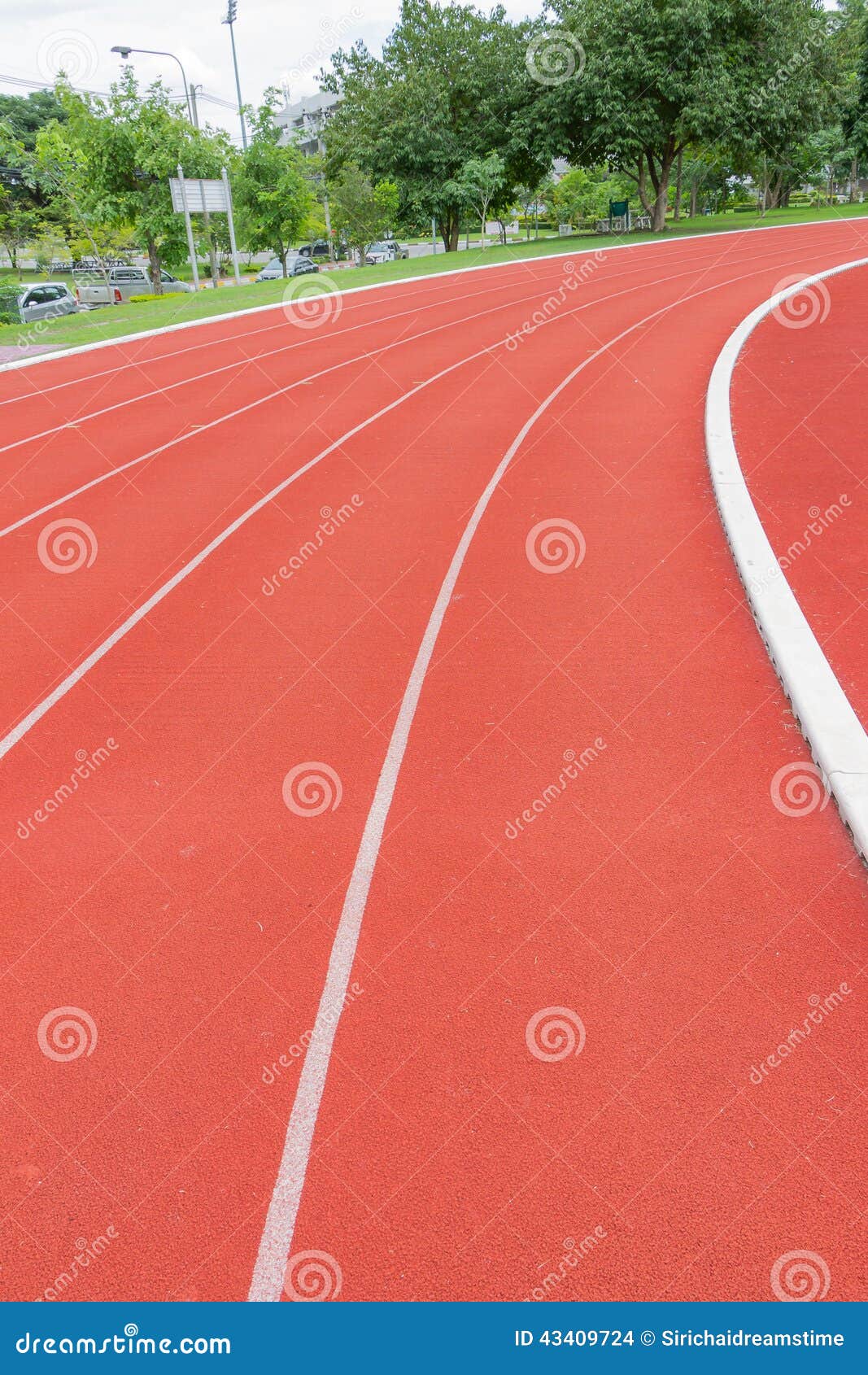 Yard run stock photo. Image of champion, competition - 43409724