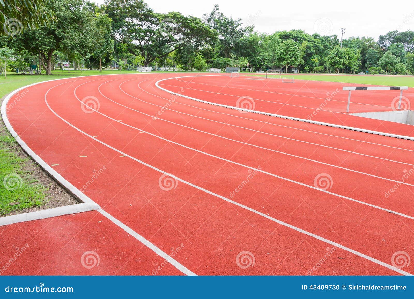 Yard run stock photo. Image of champion, sport, team - 43409730