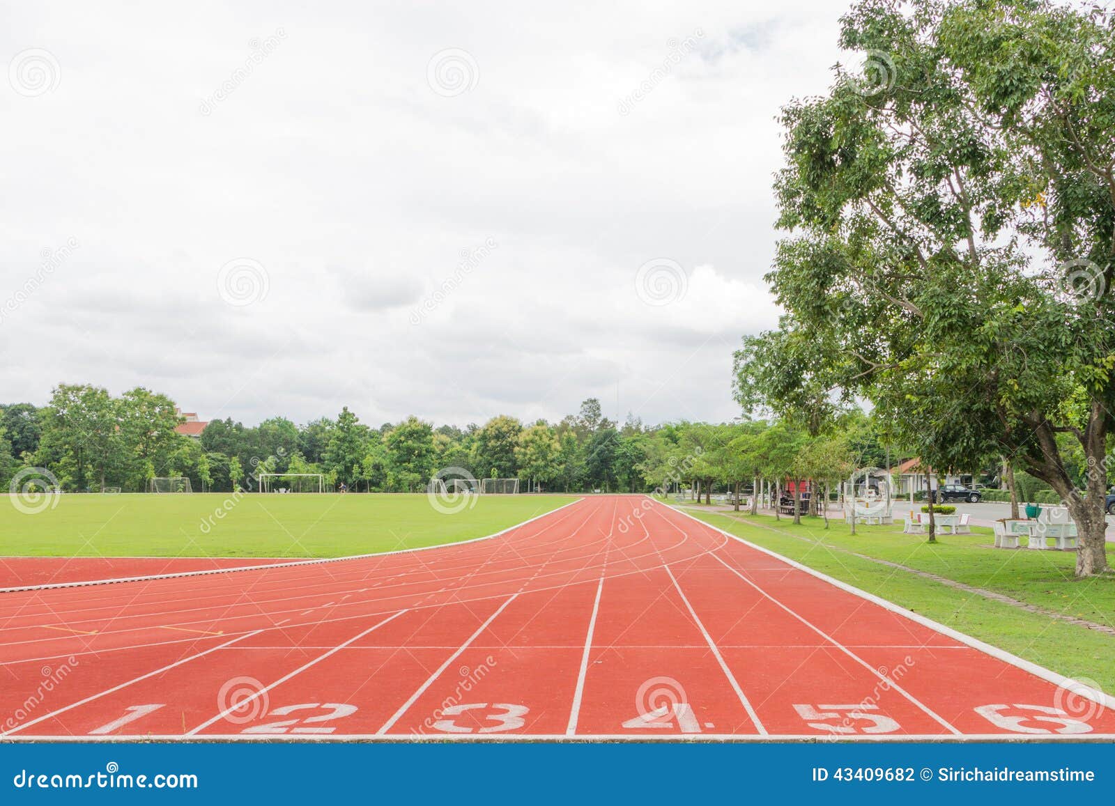 Yard run stock photo. Image of lines, running, runner - 43409682