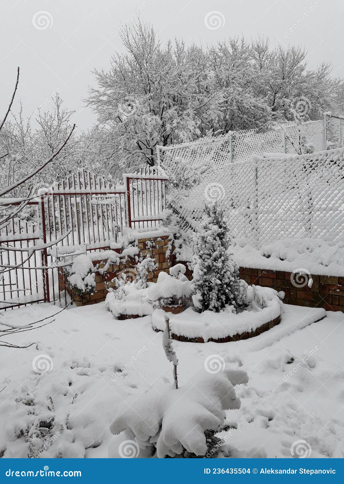 Yard under the snow stock photo. Image of snow, yard - 236435504