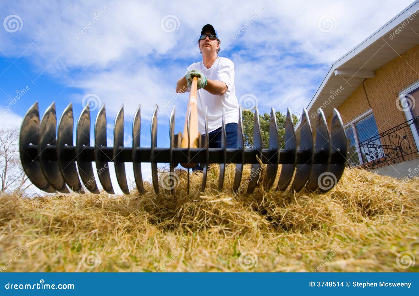 Yard work stock photo. Image of grass, garden, home, branches - 3748514