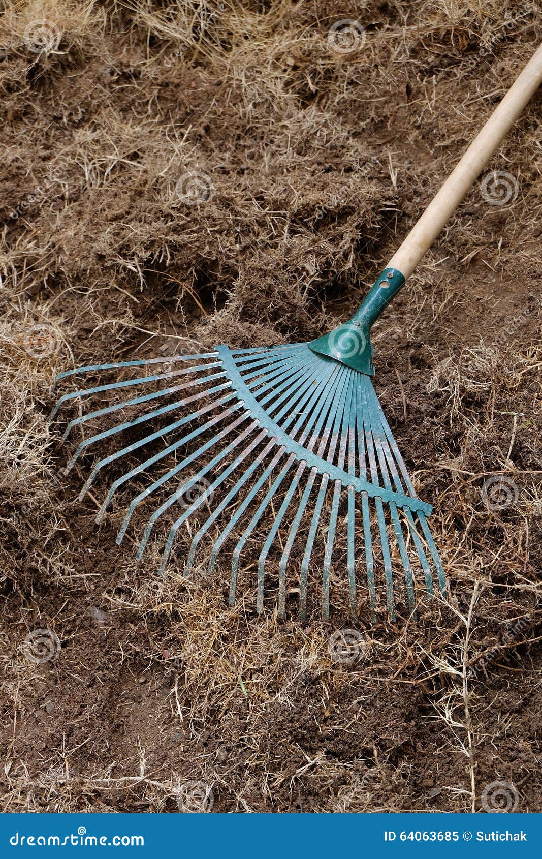 Yard Work, Preparation Soil in Garden with Rake Stock Image - Image of ...