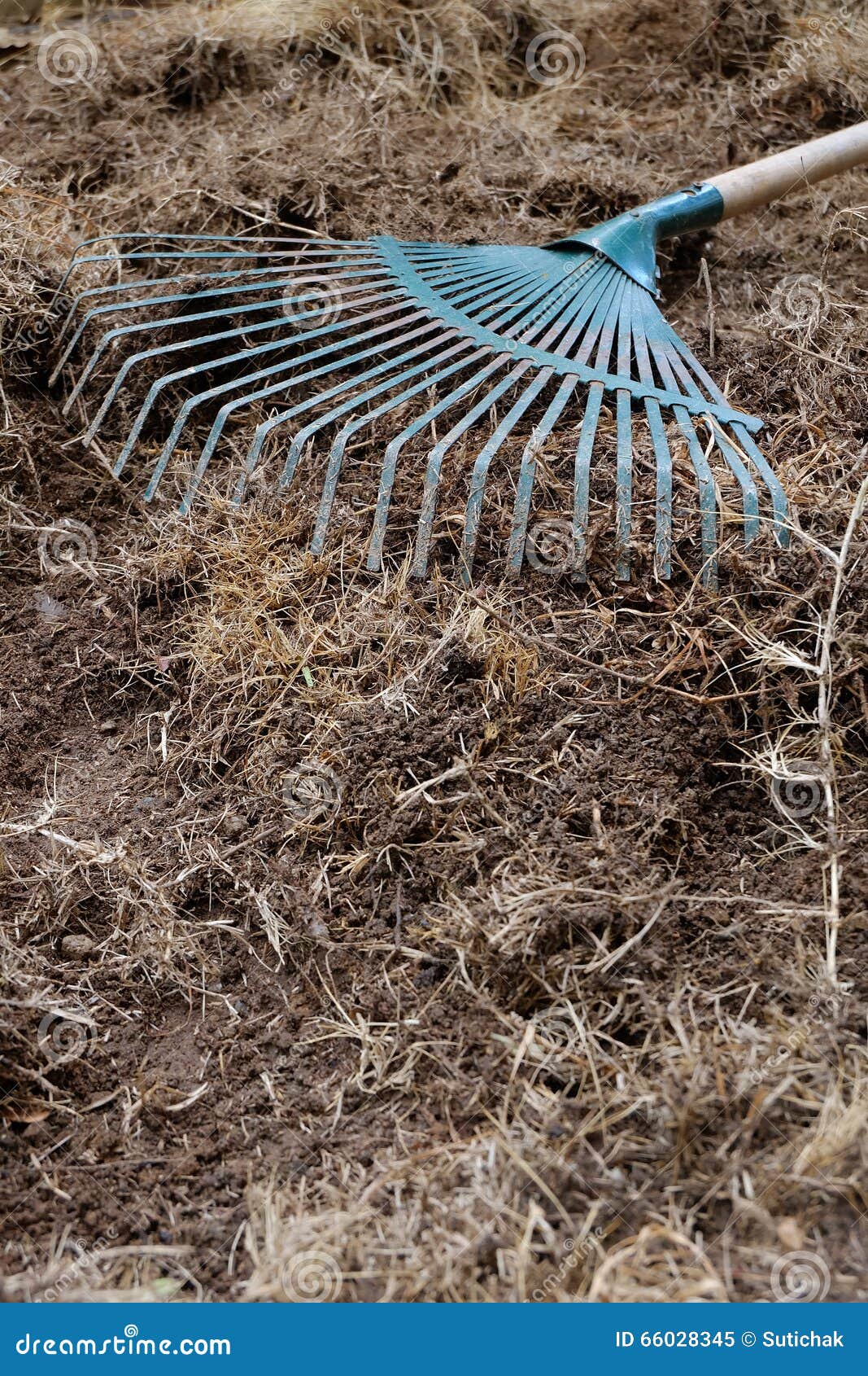 Yard Work, Preparation Soil in Garden with Rake Stock Image - Image of ...