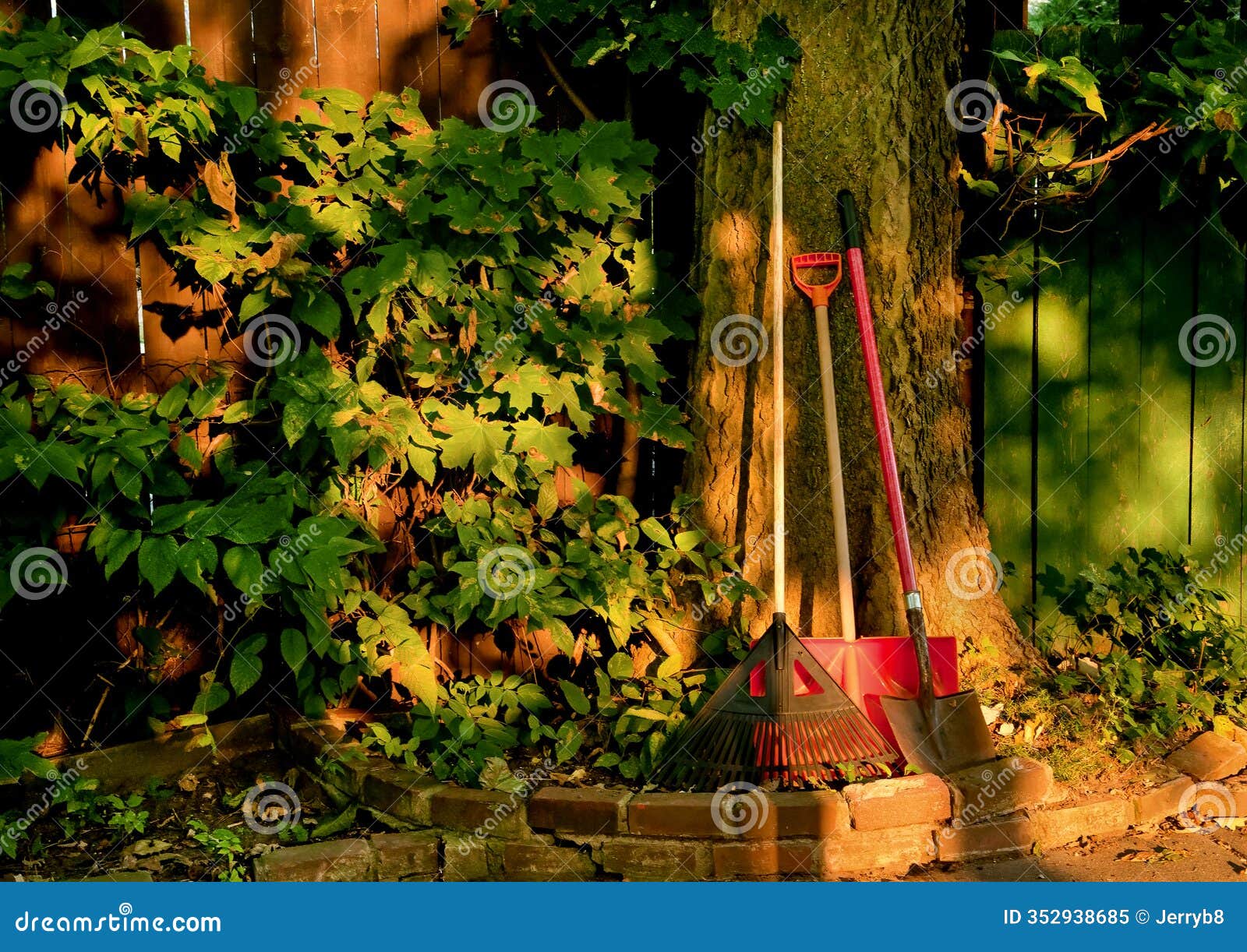 Yard Work Tools on Tree in Yard for Rake and Shoveling Bagging Yard ...