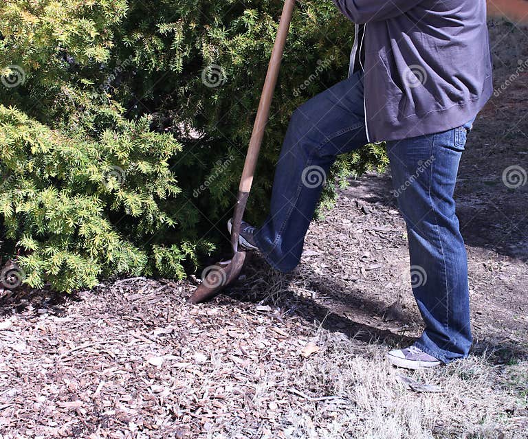 Yard Work stock image. Image of teen, landscape, work - 40025205