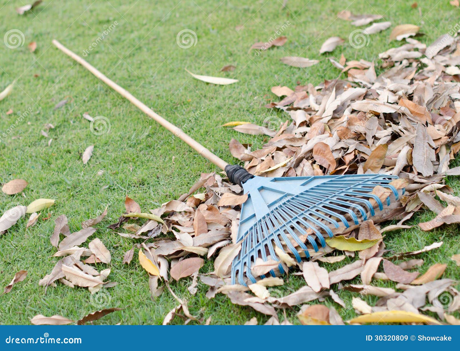 Yard Working and Gardening Tools on Green Grass Stock Image - Image of ...