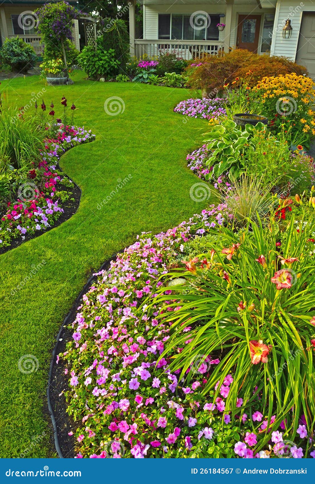 Yarda Manicured imagen de archivo. Imagen de plantas - 26184567