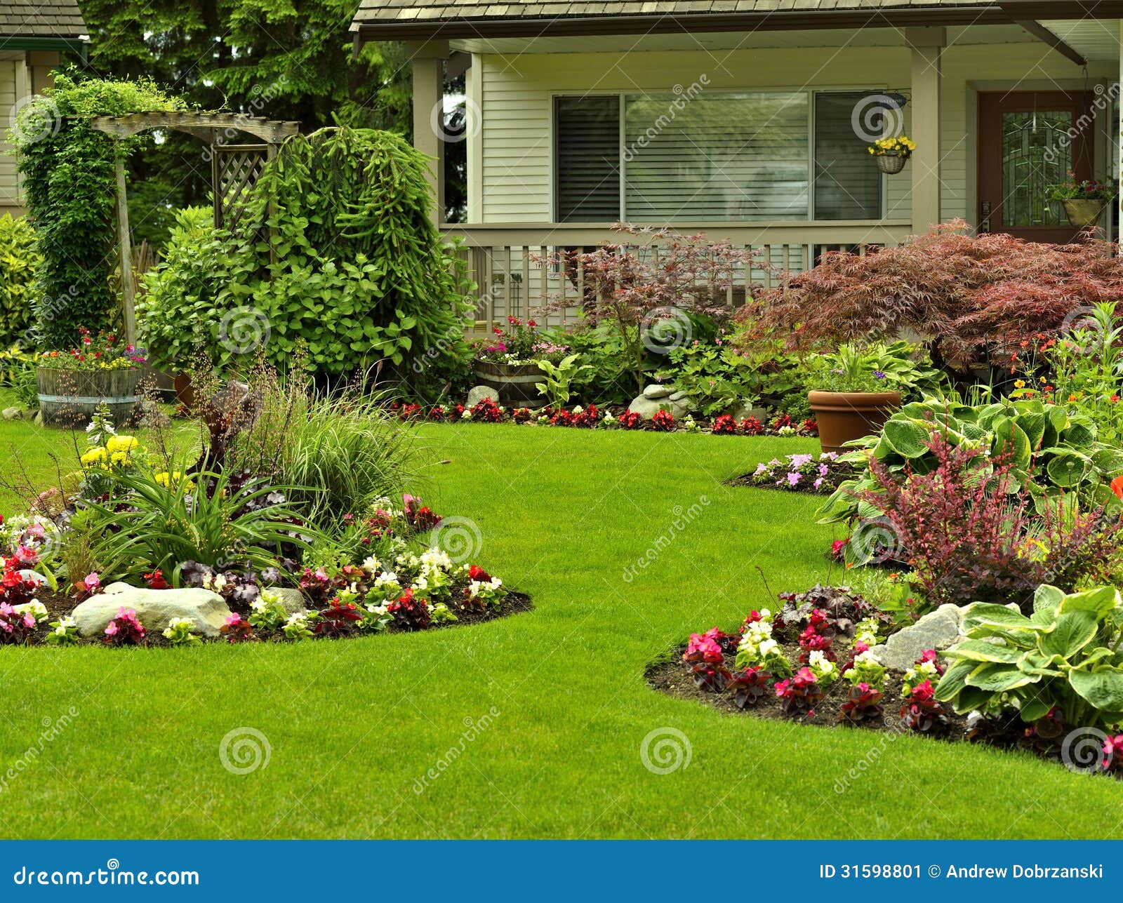 Yarda Manicured imagen de archivo. Imagen de fondo, paisajismo - 31598801