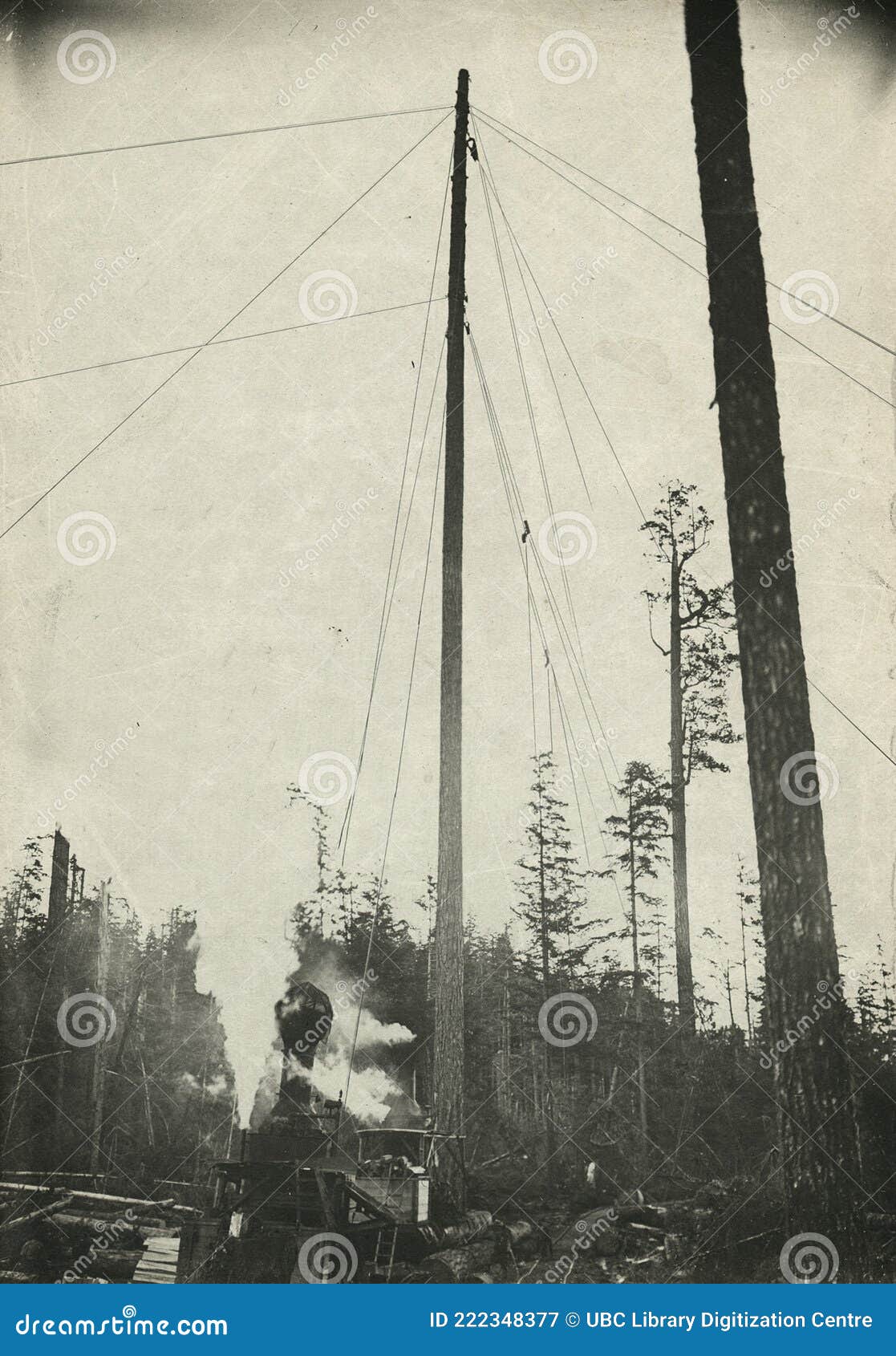 Yarder At Spar Tree: It Takes Lots Of 1/4 Inch Lines Picture. Image ...