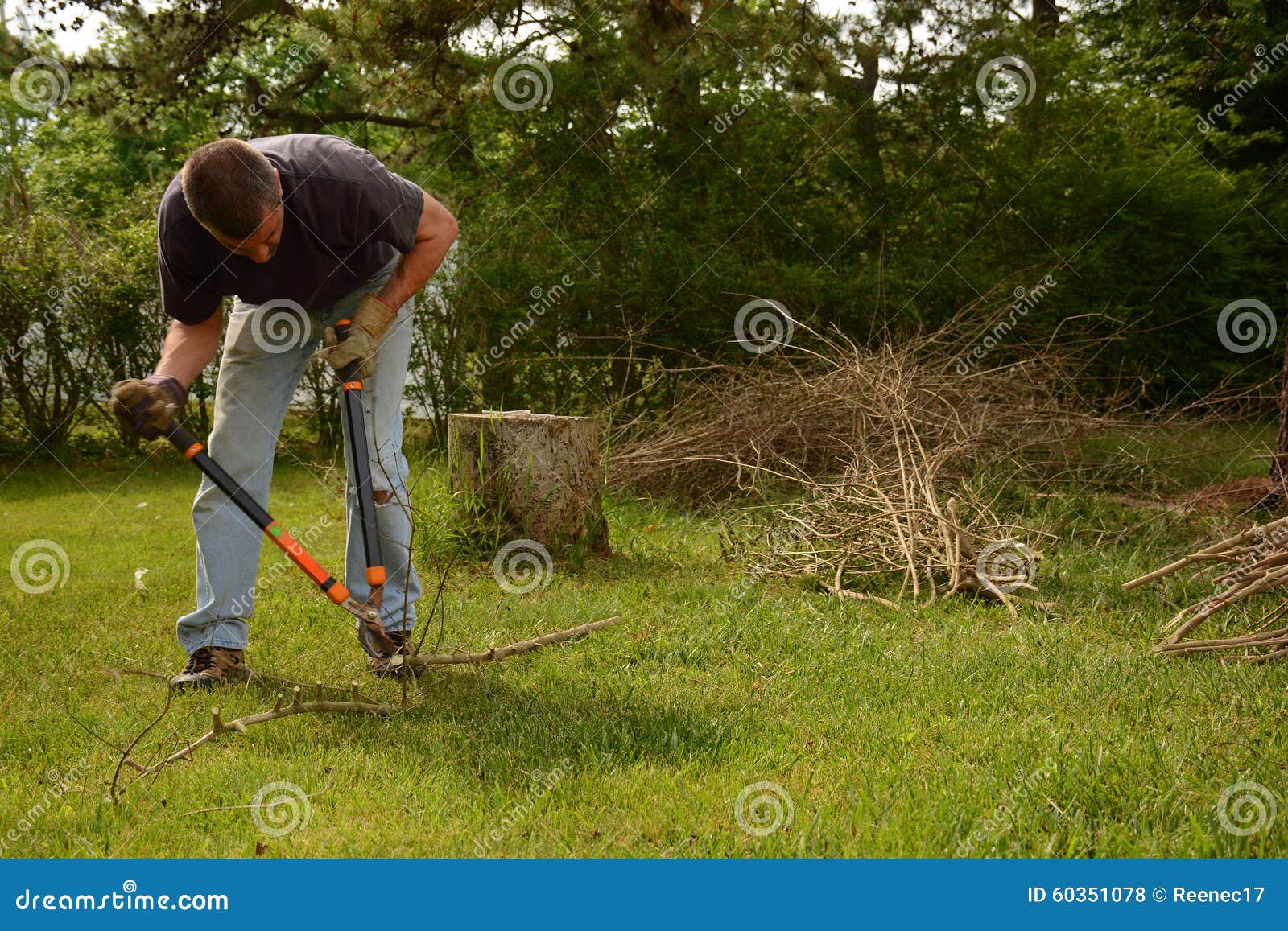 Yardwork bundling twigs stock photo. Image of brush, lopper - 60351078
