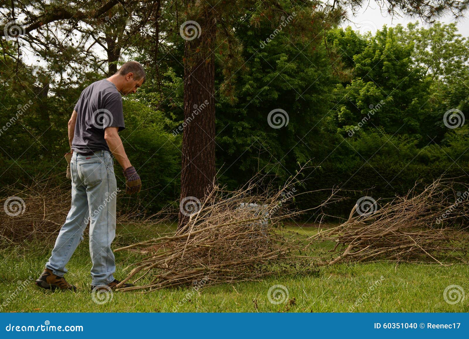 Yardwork bundling twigs stock photo. Image of cleanup - 60351040