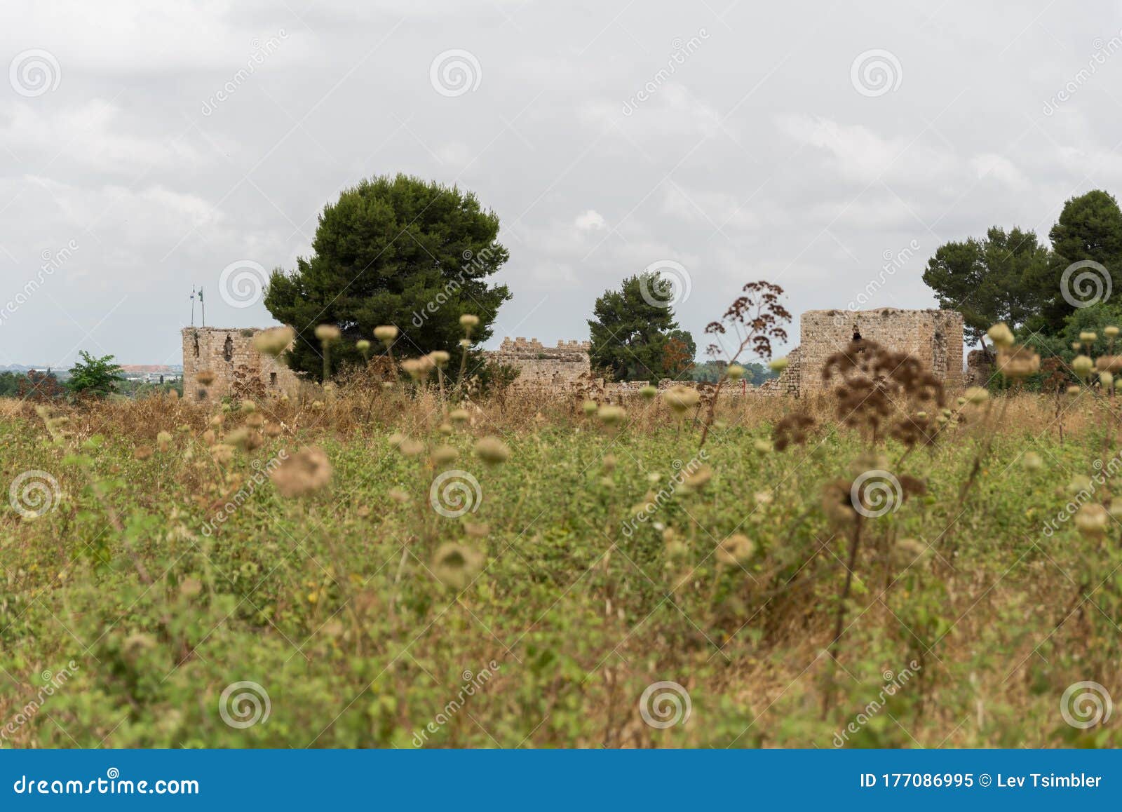 Yarkon National Park in Central Israel Stock Image - Image of remains ...