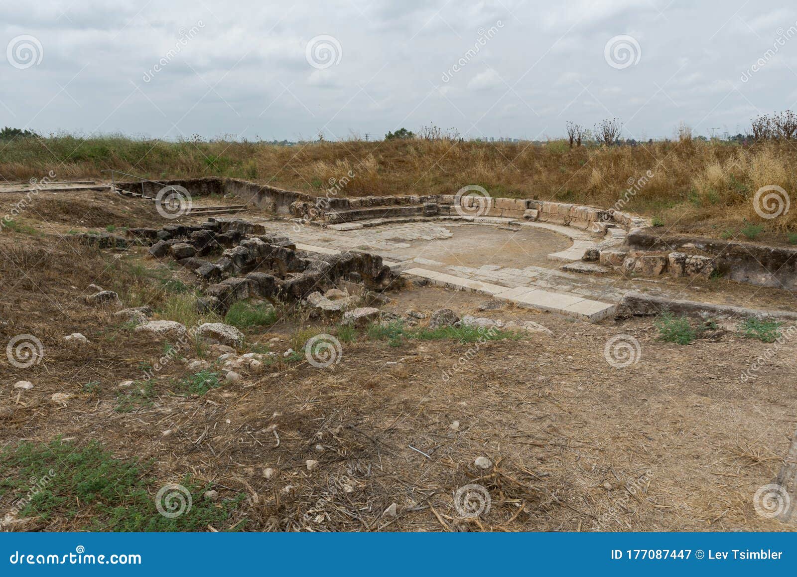 Yarkon National Park in Central Israel Stock Image - Image of afek ...