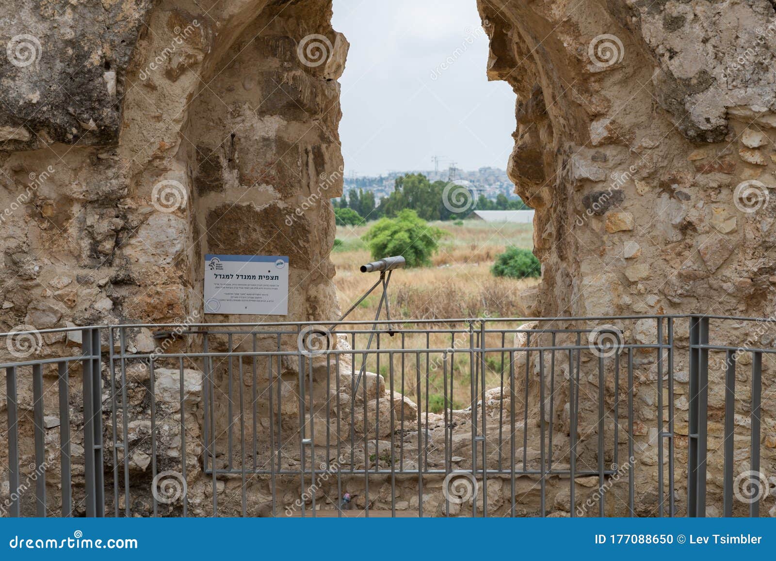 Yarkon National Park in Central Israel Editorial Image - Image of ...
