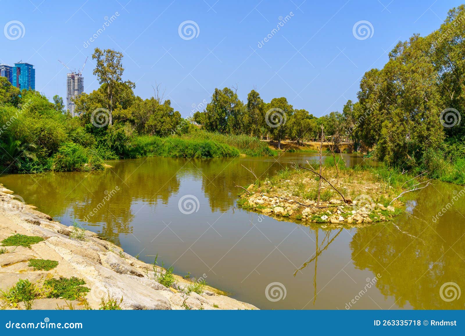 Yarkon River, and Trees, in the Yarkon Park Stock Photo - Image of tree ...