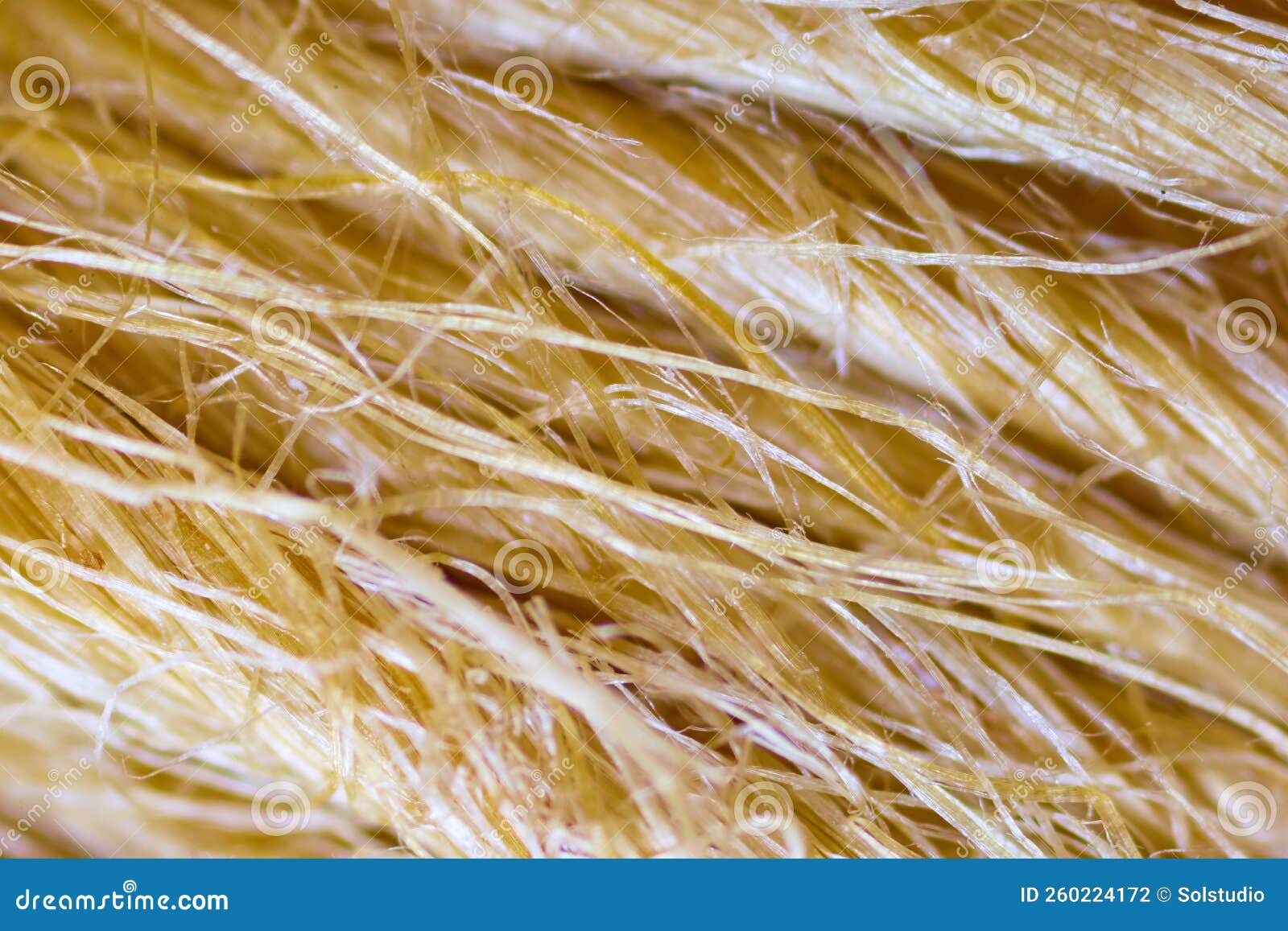 Yarn fiber texture stock photo. Image of fabric, wool - 260224172