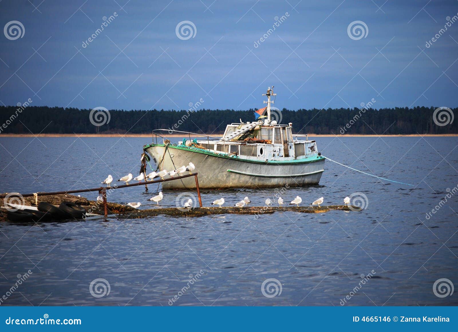 Yate Y Aves Marinas Blancos Foto de archivo - Imagen de viaje, hermoso ...