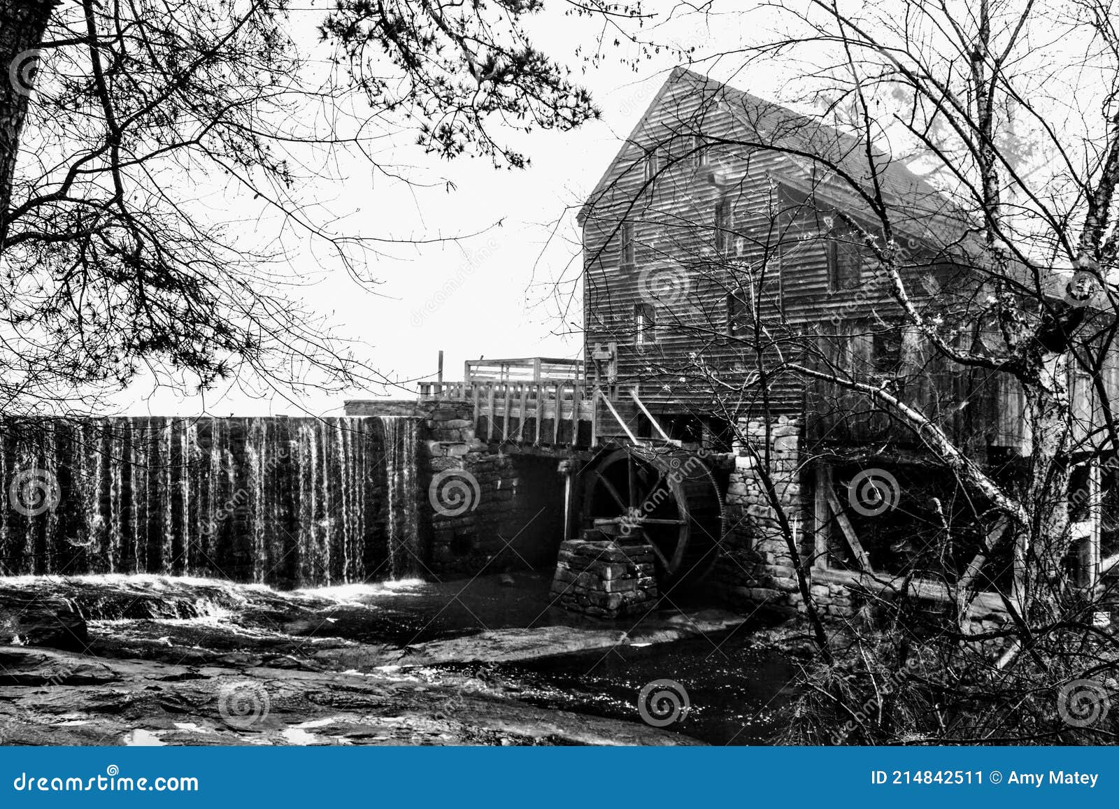 Yates Mill Pond Raleigh NC stock image. Image of drawing - 214842511