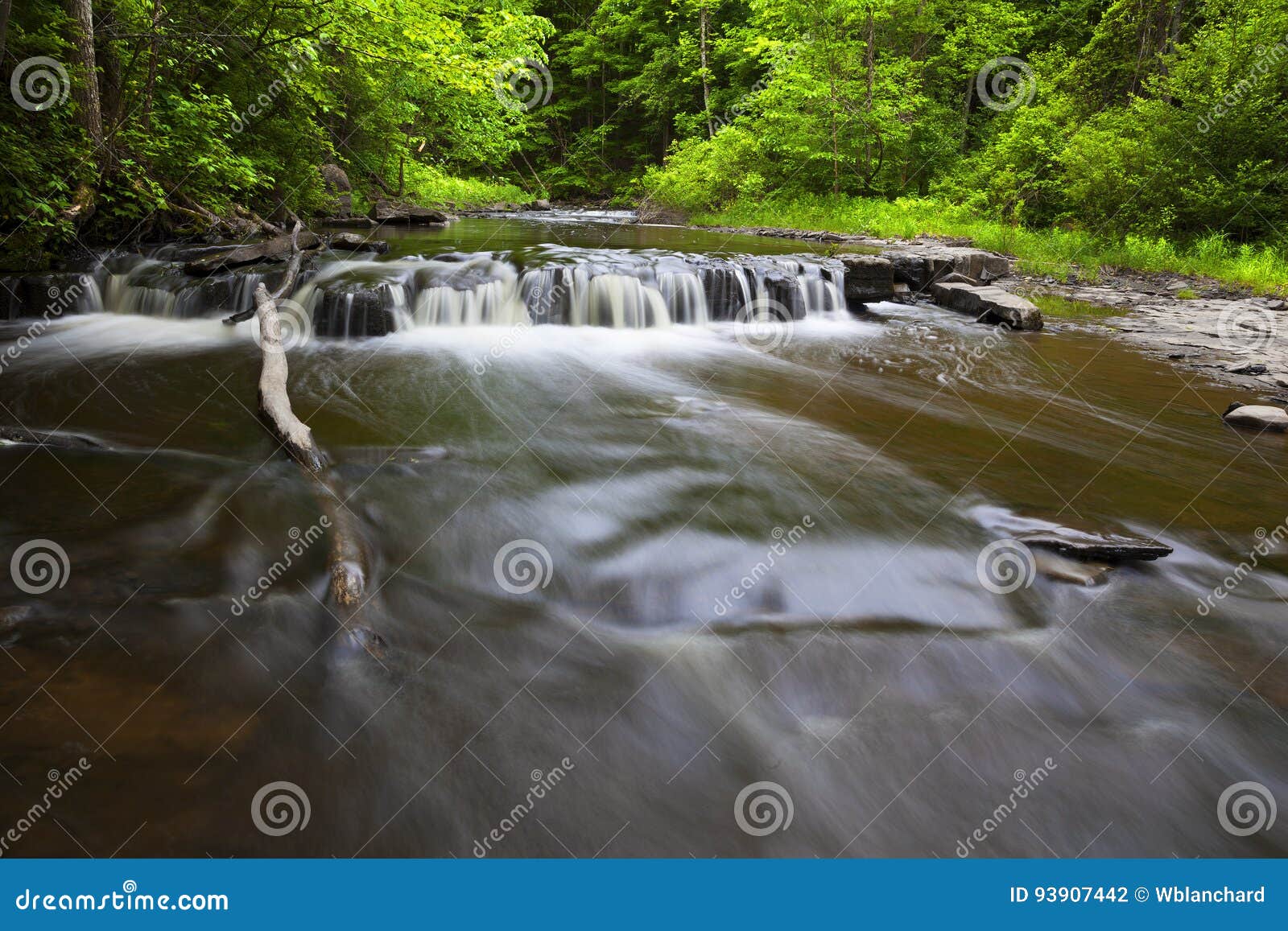 Yatesville Forest Cascade Stock Photography | CartoonDealer.com #93907442