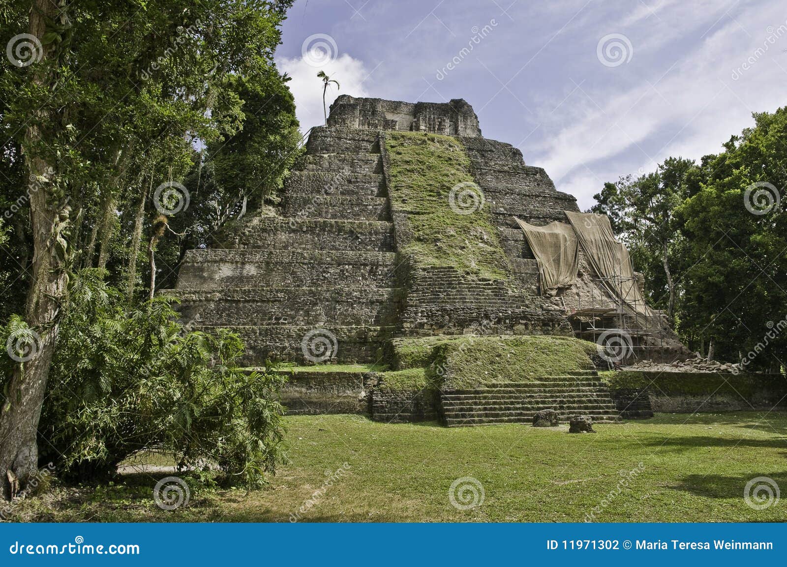 Yaxha - Maya Pyramide stock photo. Image of guatemala - 11971302