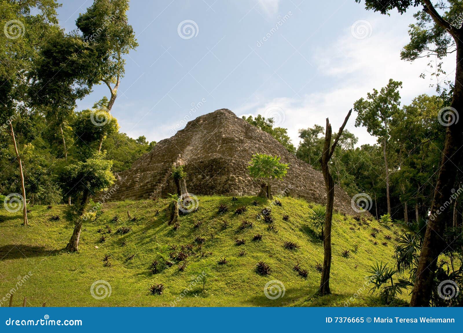 Yaxha - Mayan Ruins stock image. Image of background, history - 7376665
