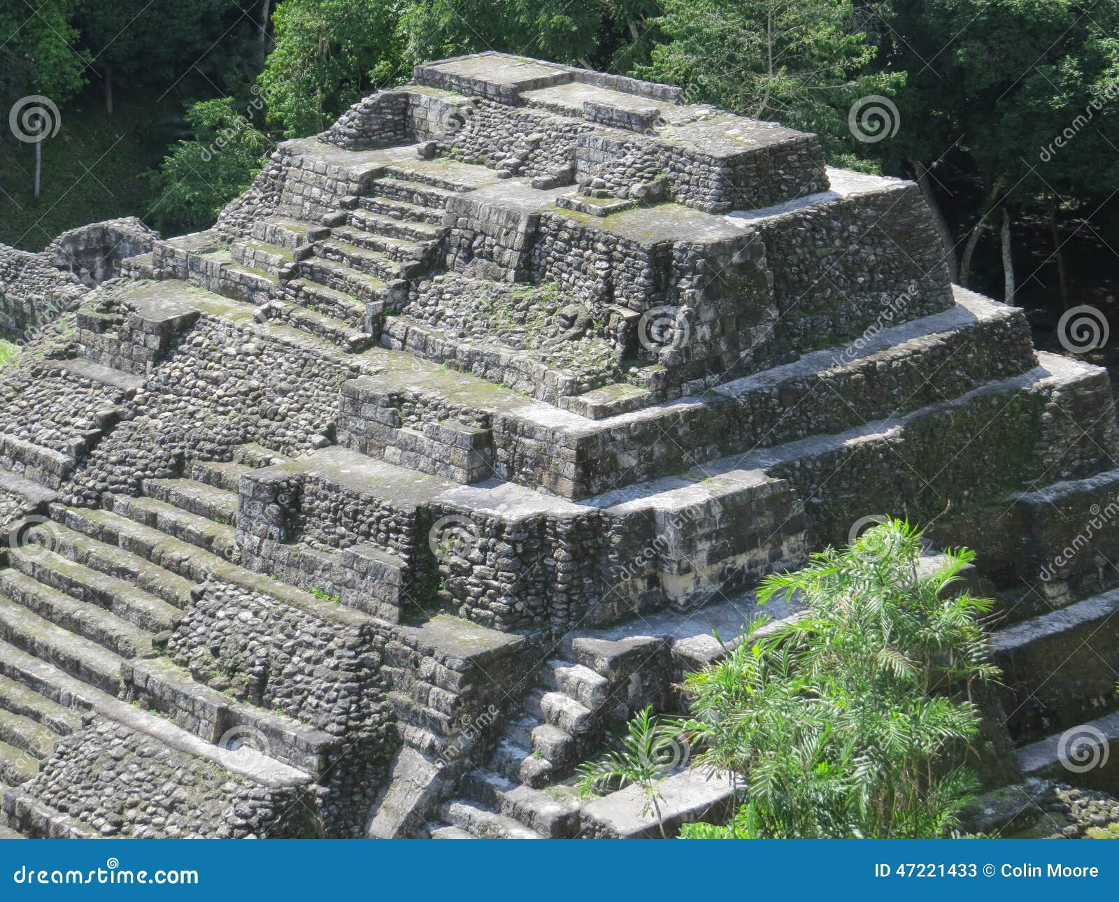 Yaxha stock image. Image of monument, mayan, view, guatemalan - 47221433