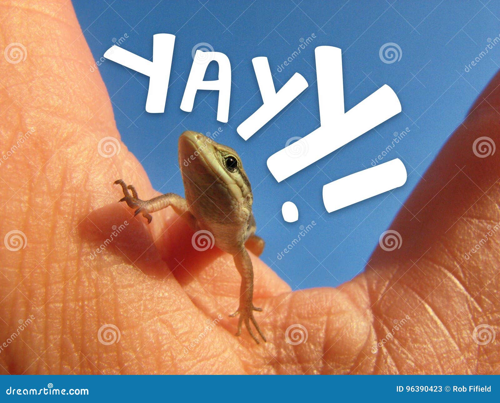 Yayy. stock image. Image of world, blue, whoopee, yayy - 96390423