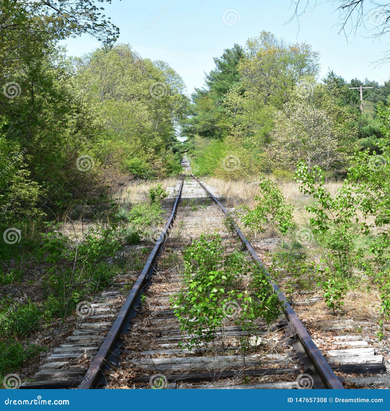 1,307 Year Tracks Stock Photos - Free & Royalty-Free Stock Photos from ...