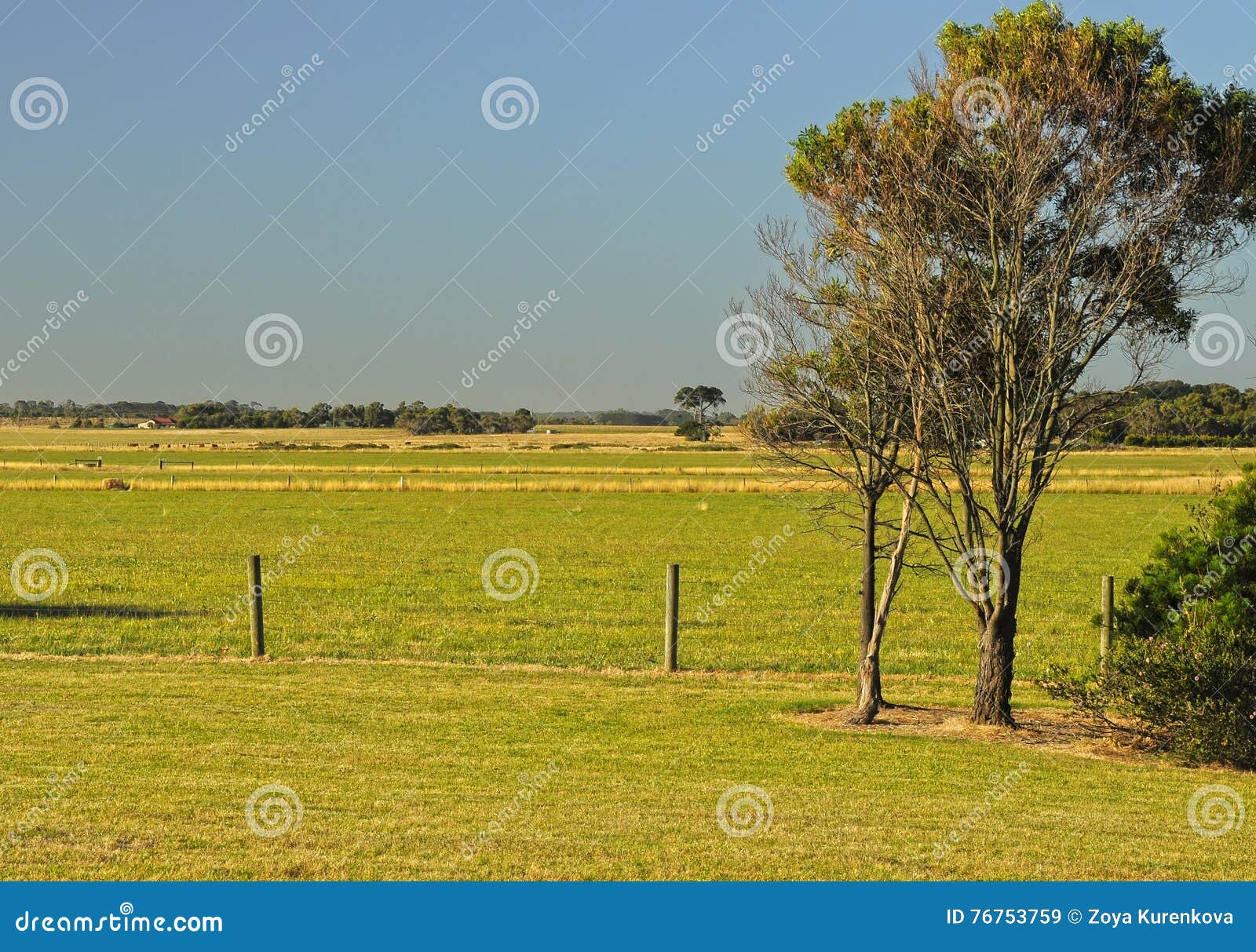 Year Australian Rural Landscape. Stock Image - Image of trees, blue ...