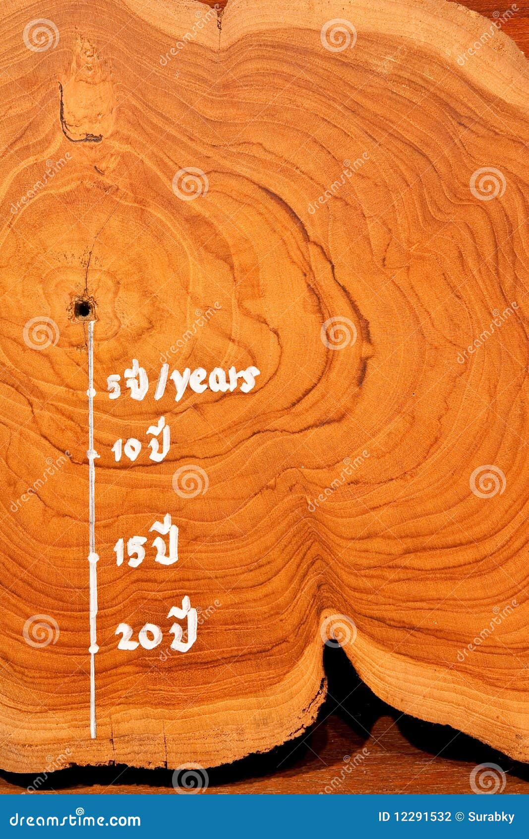 Year Circle of Old Teak Wood Stock Photo - Image of annual, trunk: 12291532