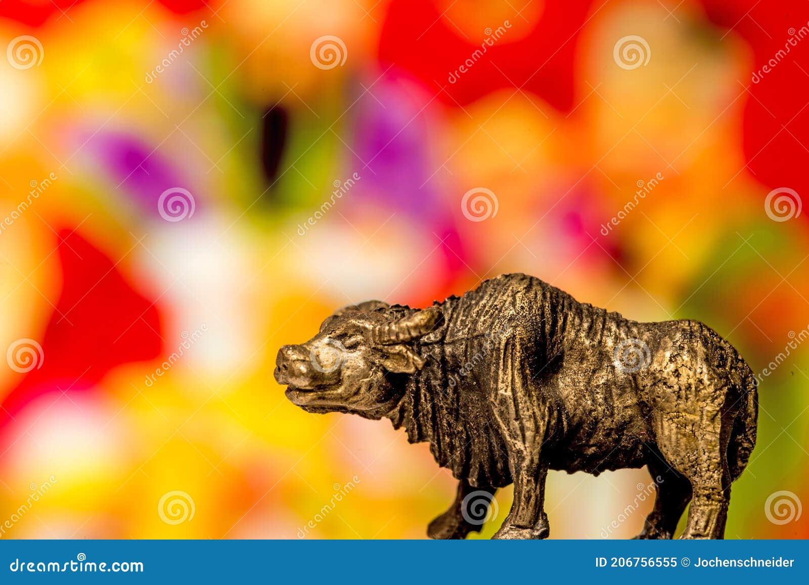 Year of the metal ox 2021 stock image. Image of animal - 206756555