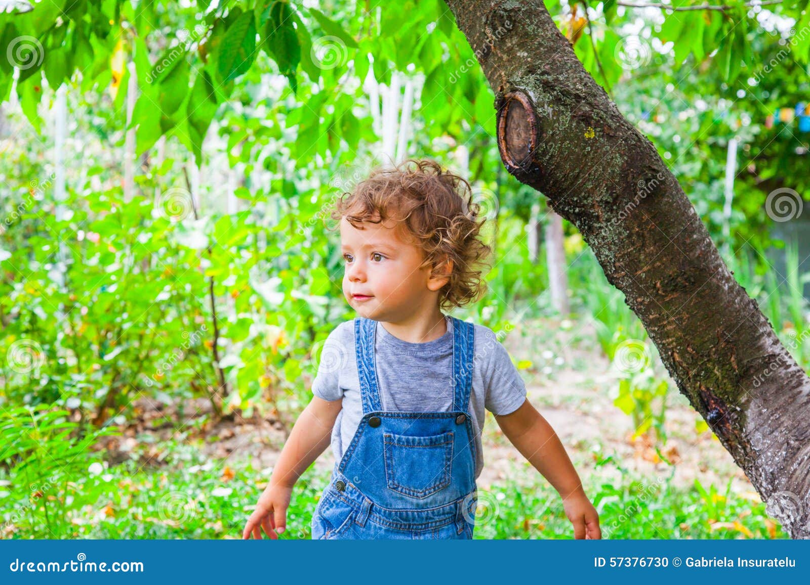 1 Year Old Baby Boy Portrait Stock Photo - Image of innocent, garden ...