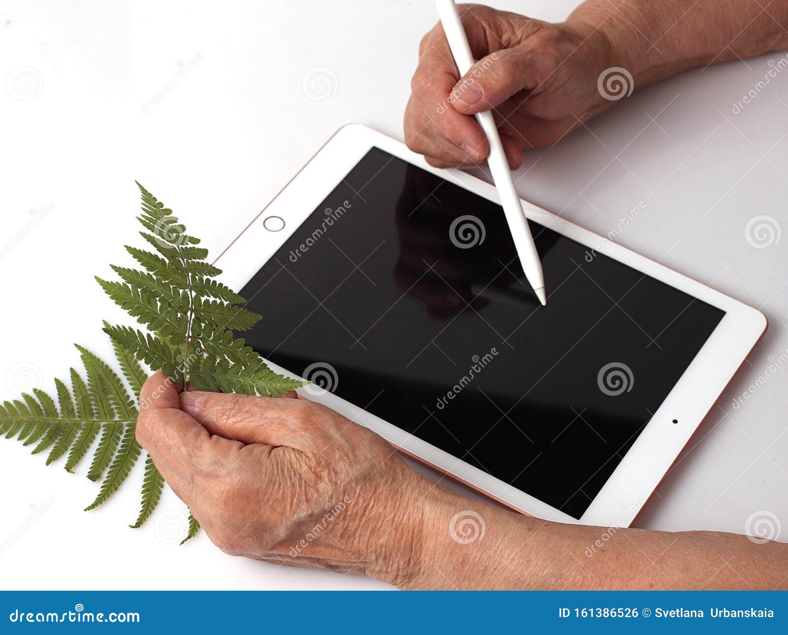 An 80-year-old Elderly Woman Holds an Electronic Device in Her Hands ...
