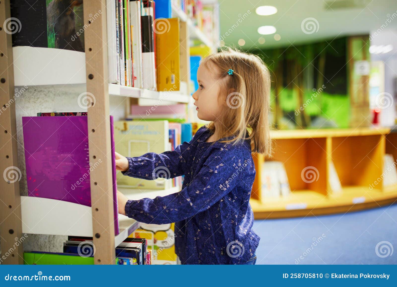 4 Year Old Girl Selecting a Book in Municipal Library Stock Photo ... 4 Year Old Girl Selecting a Book in Municipal Library Stock Photo ...