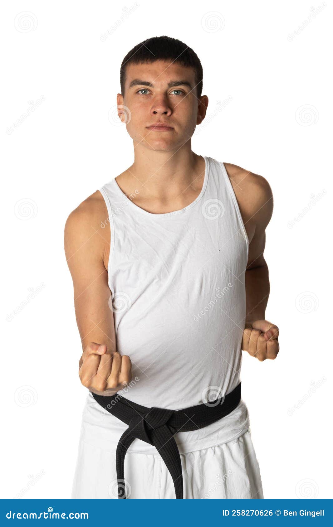 Teenage Boy Doing a Karate Strike Stock Photo - Image of caucasian ...