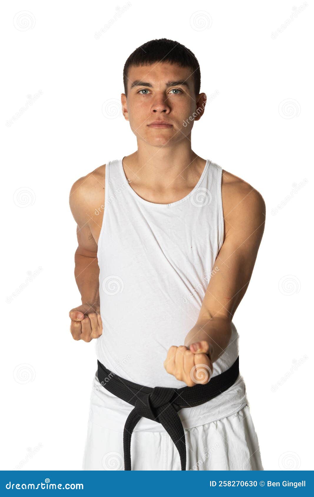 Teenage Boy Doing a Karate Strike Stock Photo - Image of belt, punch ...