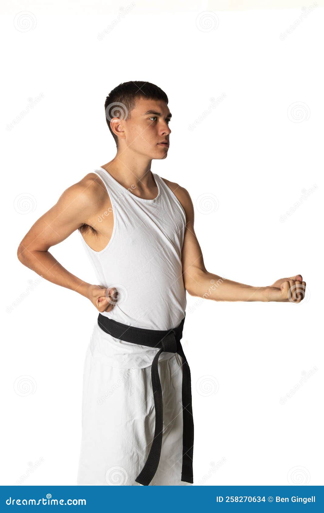 Teenage Boy Doing a Karate Strike Stock Photo - Image of shodan, punch ...