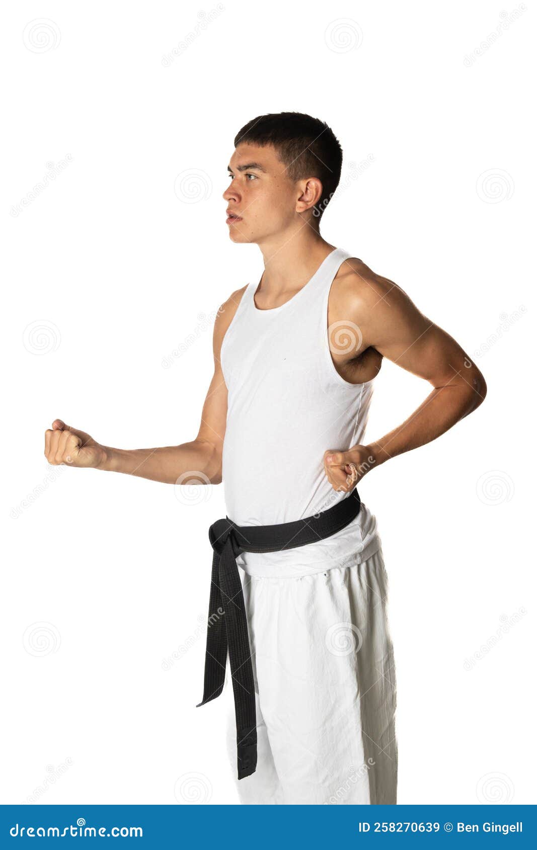 Teenage Boy Doing a Karate Strike Stock Image - Image of artist ...