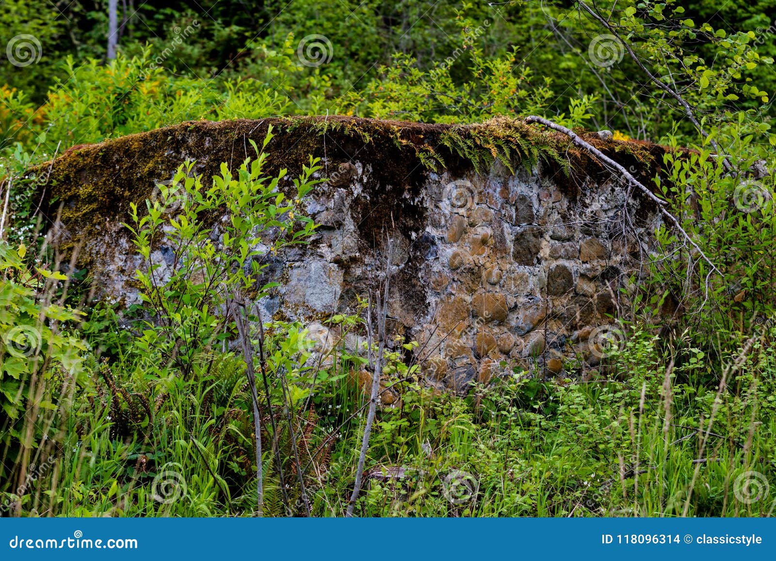 100 Year Old Stone Wall in the Overgrown Forest Stock Photo - Image of ...