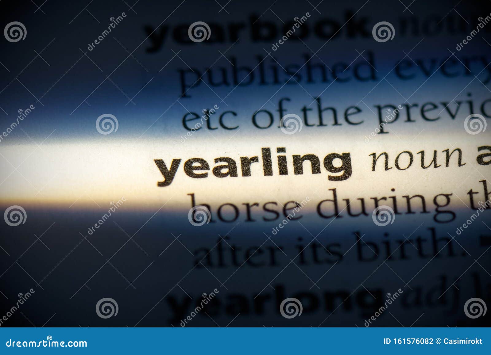 Yearling stock photo. Image of dictionary, idea, meaning - 161576082