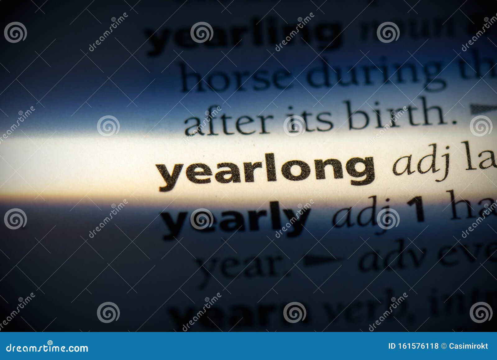 Yearlong stock photo. Image of idea, close, page, writing - 161576118